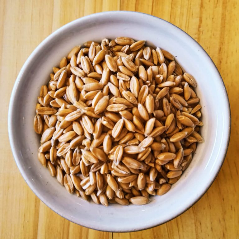 Spelt Grain/Kernels/Berries – Whole – Pure and Whole