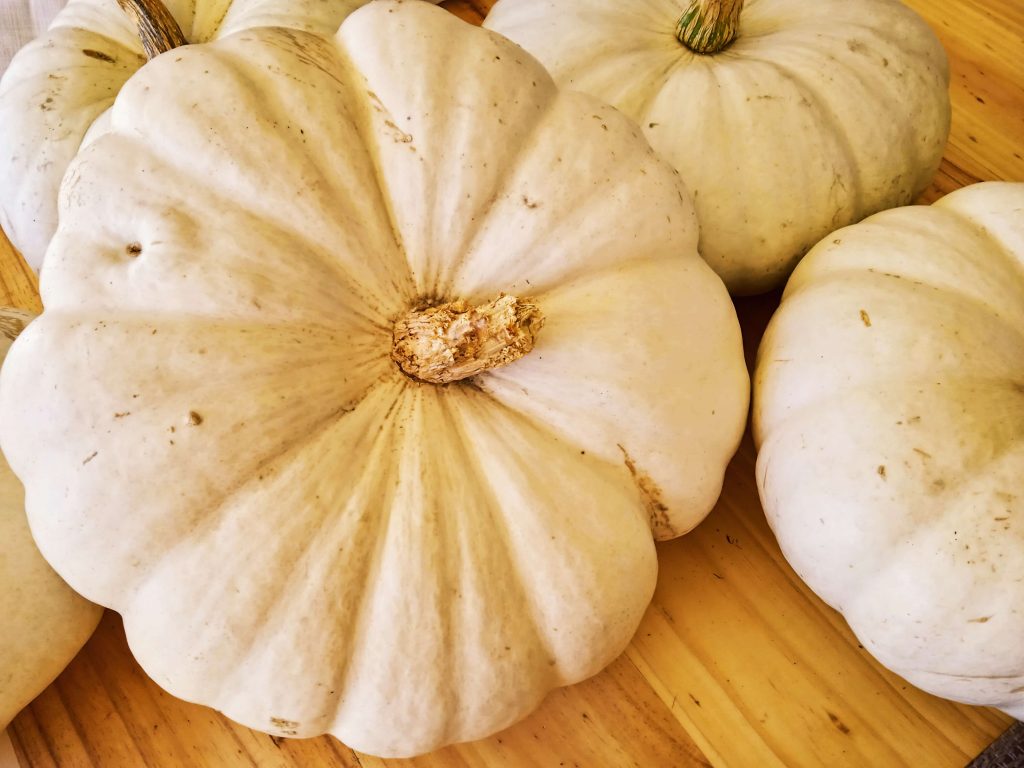 Organic Wit Boer Pampoen/Pumpkin – Pure and Whole