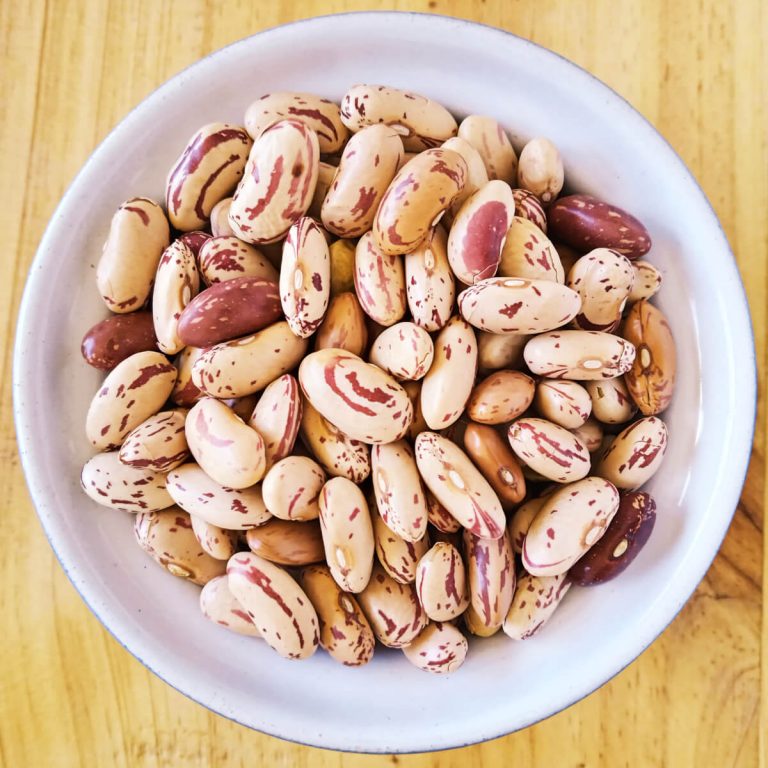 Red Speckled Sugar Beans – Pure and Whole