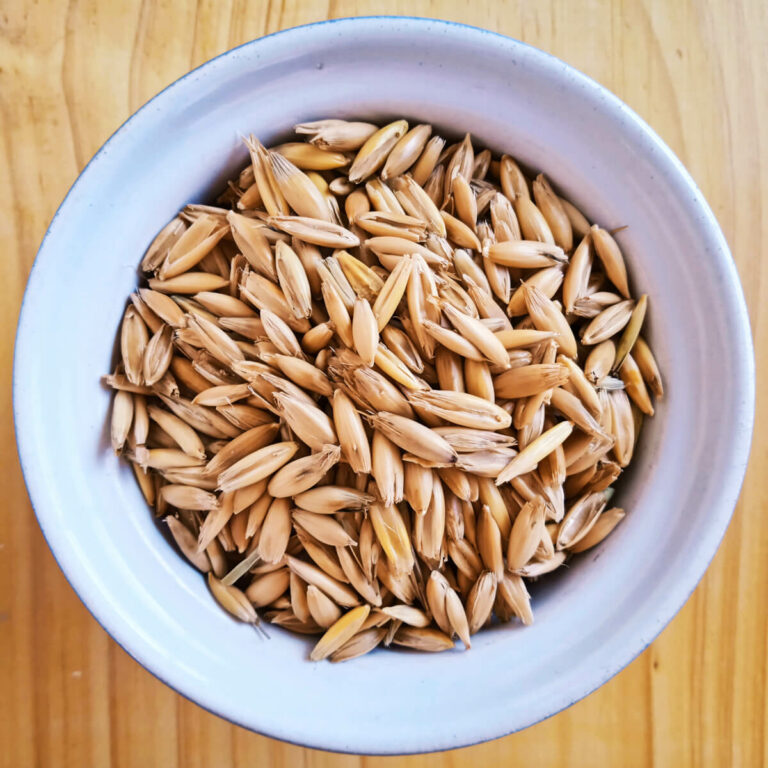Whole Oat Grain/Kernels/Berries – Pure and Whole